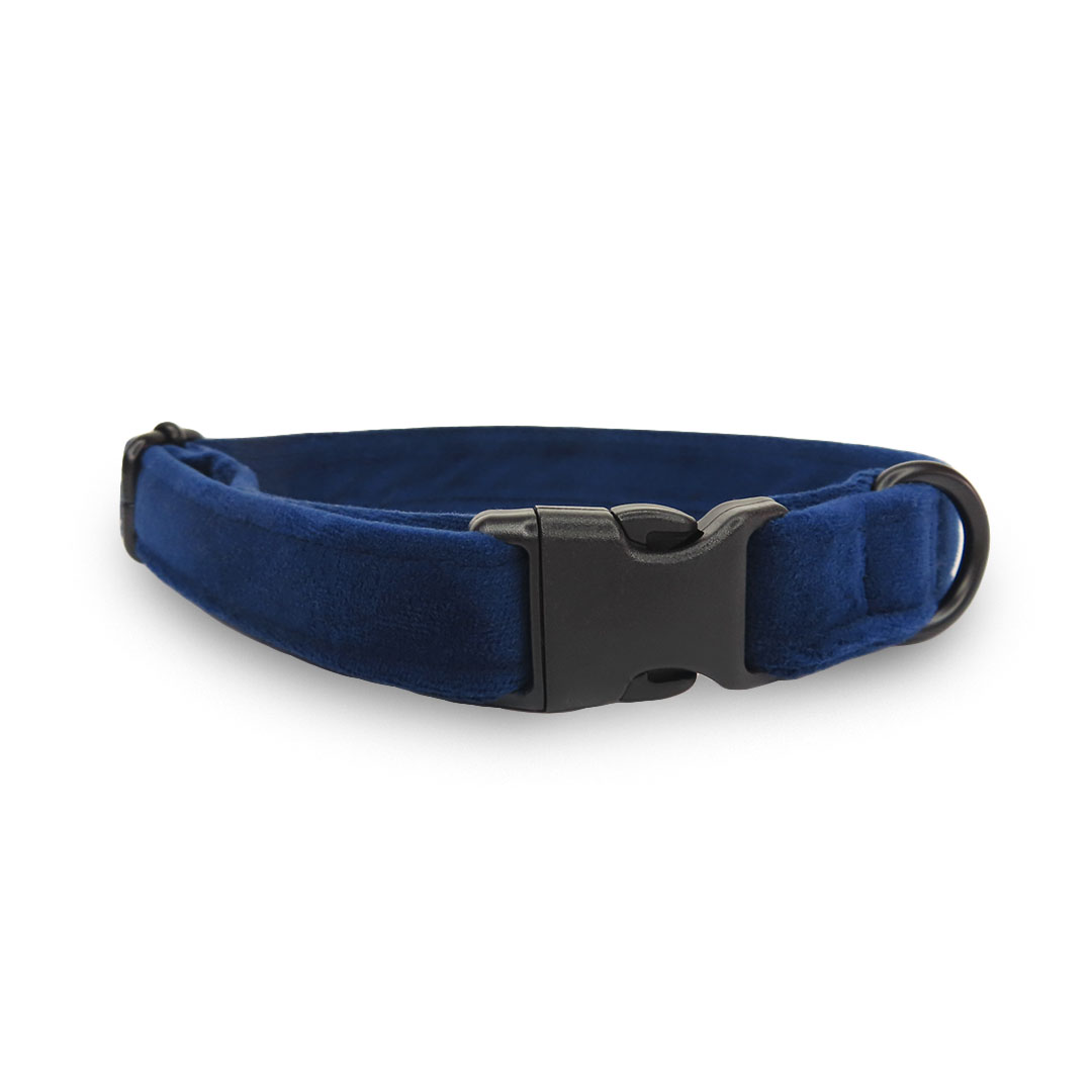 Your Royal Highness Velvet Collar | Alfies Pet Accessories